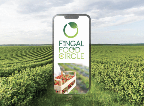 Duhallow Organics Brand Packaging Design | Clare Lynch Creative ...